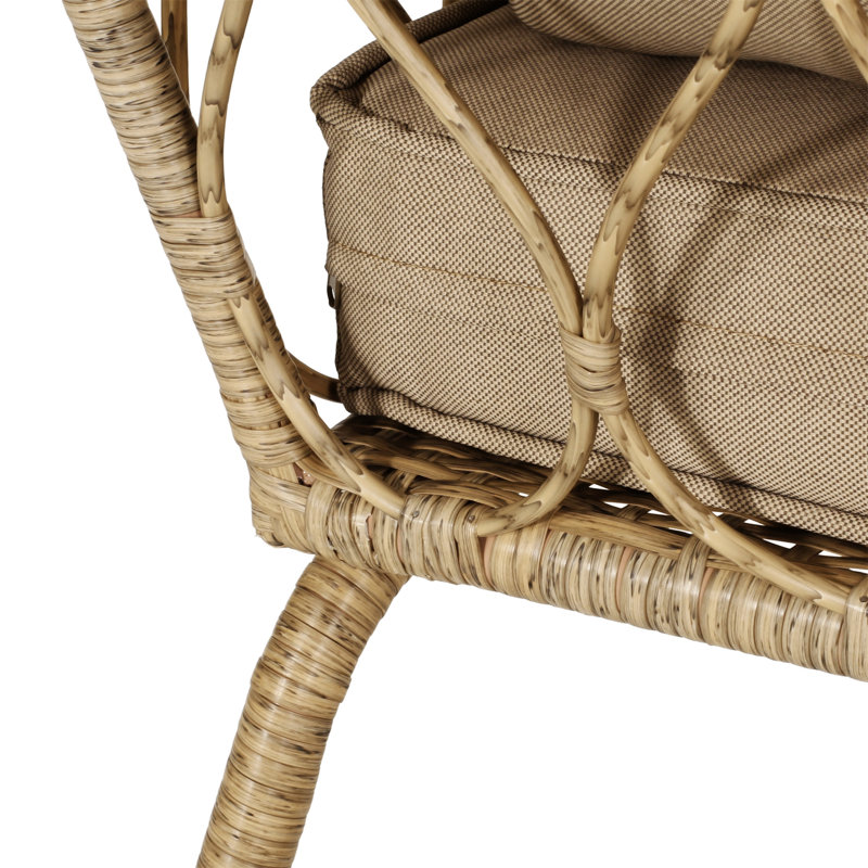 Beachcrest Home Raynette Outdoor Wicker Loveseat with Cushions ...