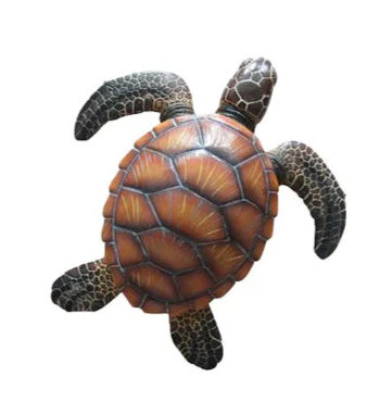 Bay Isle Home™ Alican Small Sea Turtle Statue | Wayfair