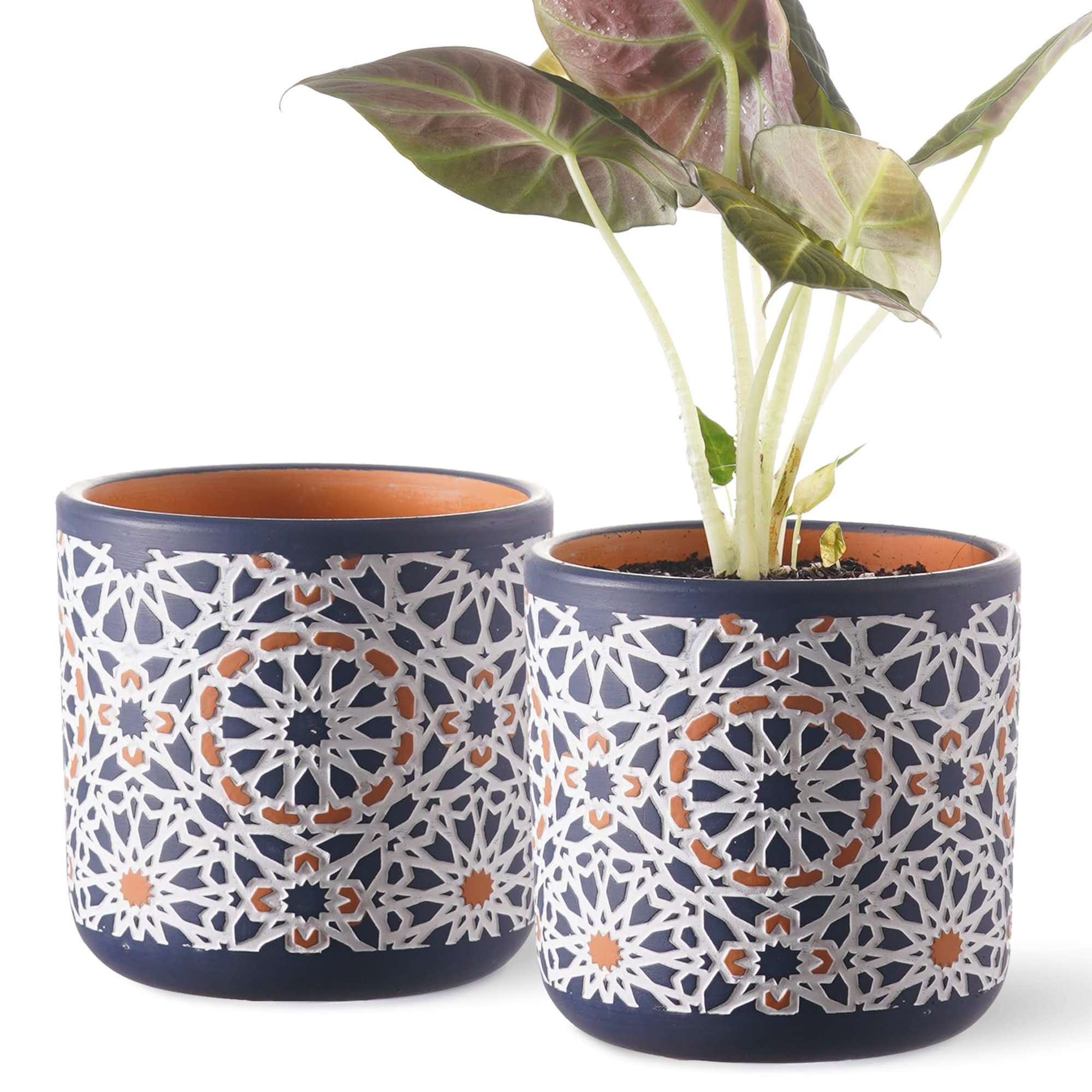 Bungalow Rose 2 Pack Ceramic Flower Pots for Indoor Plants | Wayfair