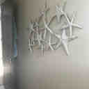 Beachcrest Home™ Starfish Wall Décor & Reviews | Wayfair