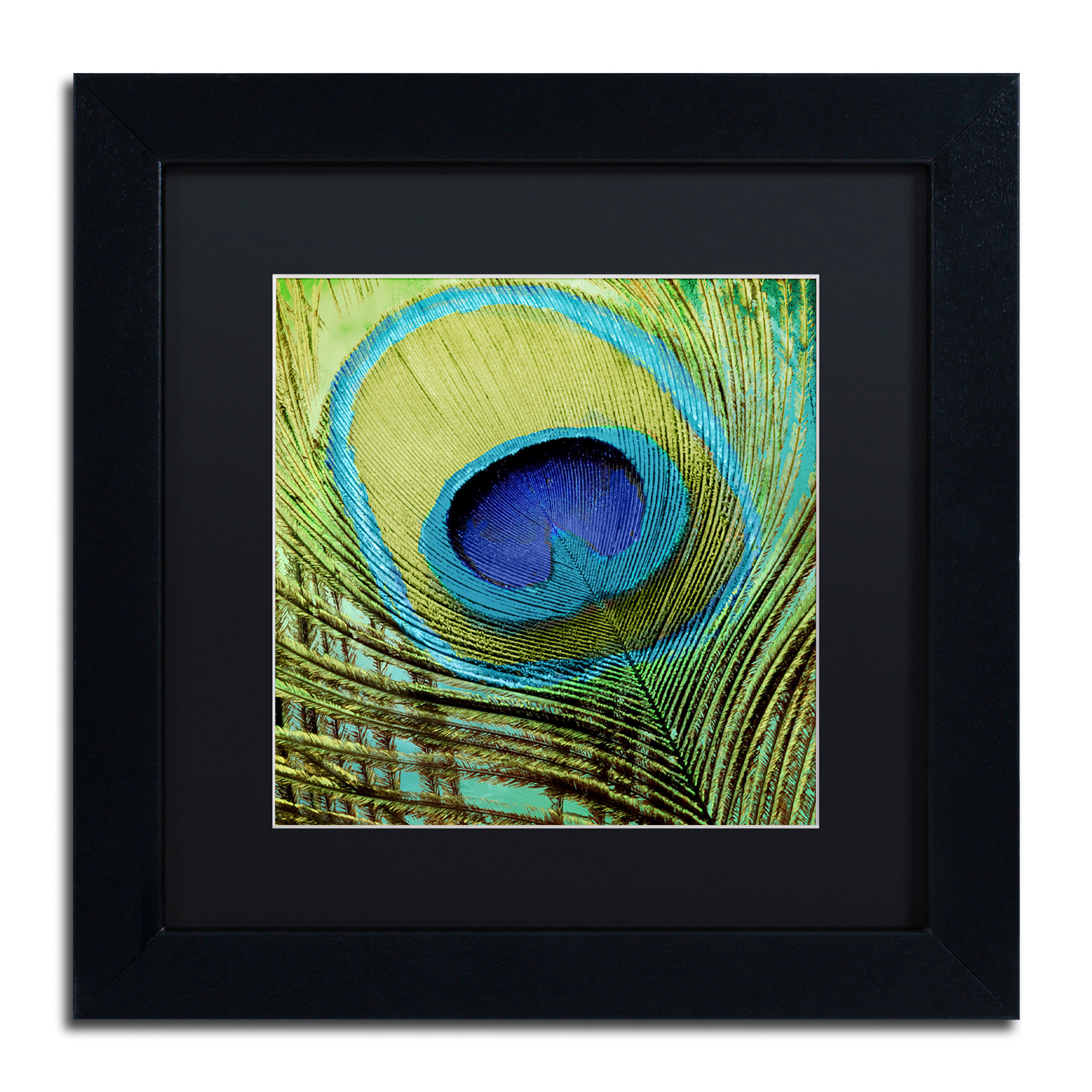 Trademark Fine Art 'Peacock Candy V' Framed Graphic Art - Wayfair Canada