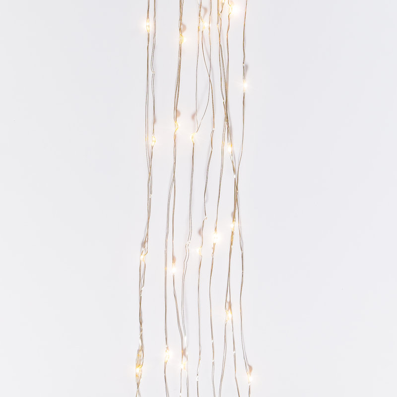 The Holiday Aisle® Warm White Micro Led Light String, Remote Function ...