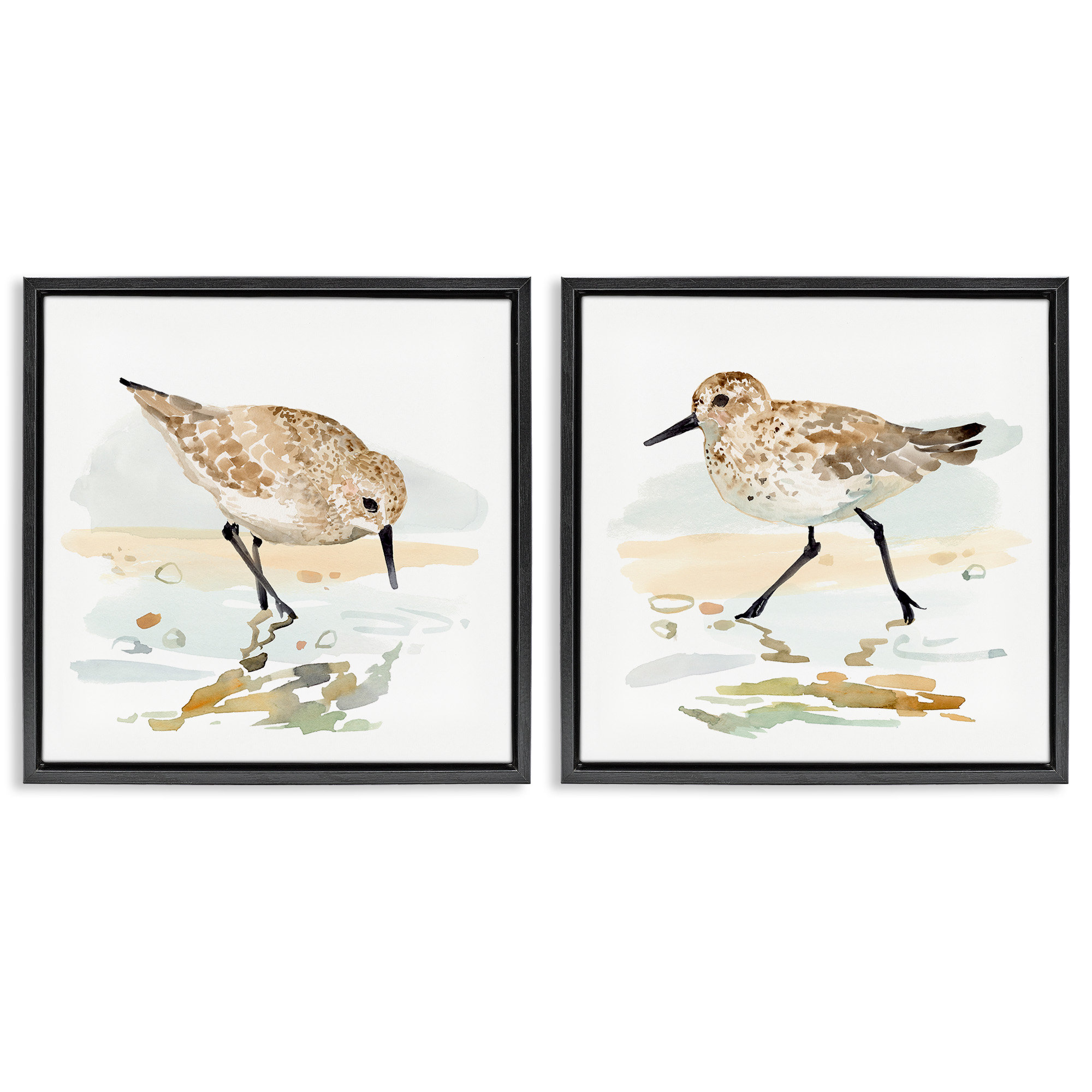 Dovecove Sea Birds on Shore 2 Piece Framed Floater Canvas Set by ...