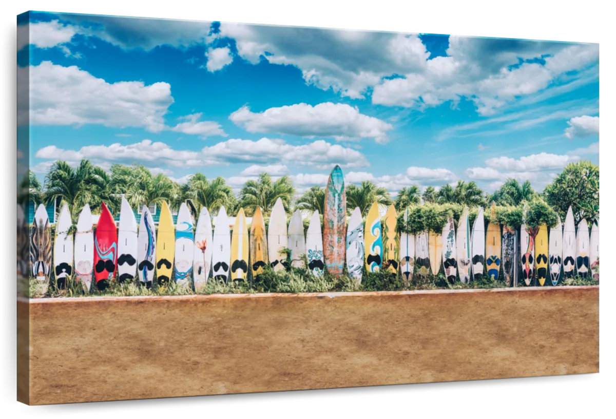Elephant Stock Surfboard Display | Wayfair