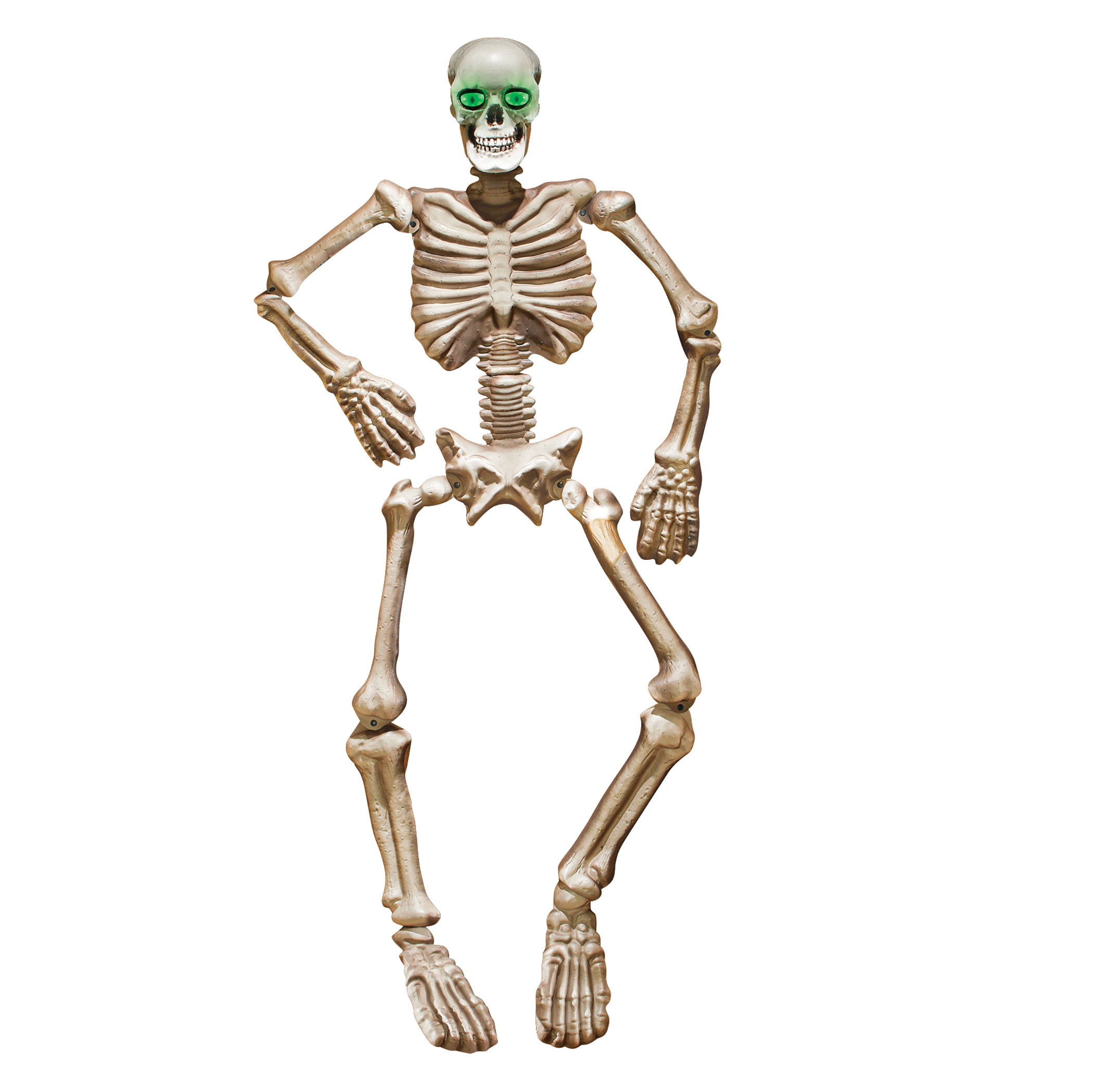 The Holiday Aisle® Color-Changing Skeleton With Moving Eyes Hanging ...