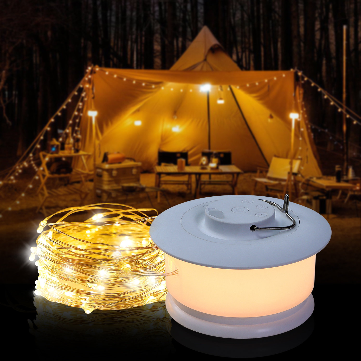 Trinx Camping String Light | Wayfair