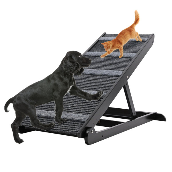 Tucker Murphy Pet™ Adjustable Dog Ramp Wooden Pet Ramp For Small ...