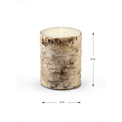 Loon Peak® Unscented Pillar Candle & Reviews | Wayfair
