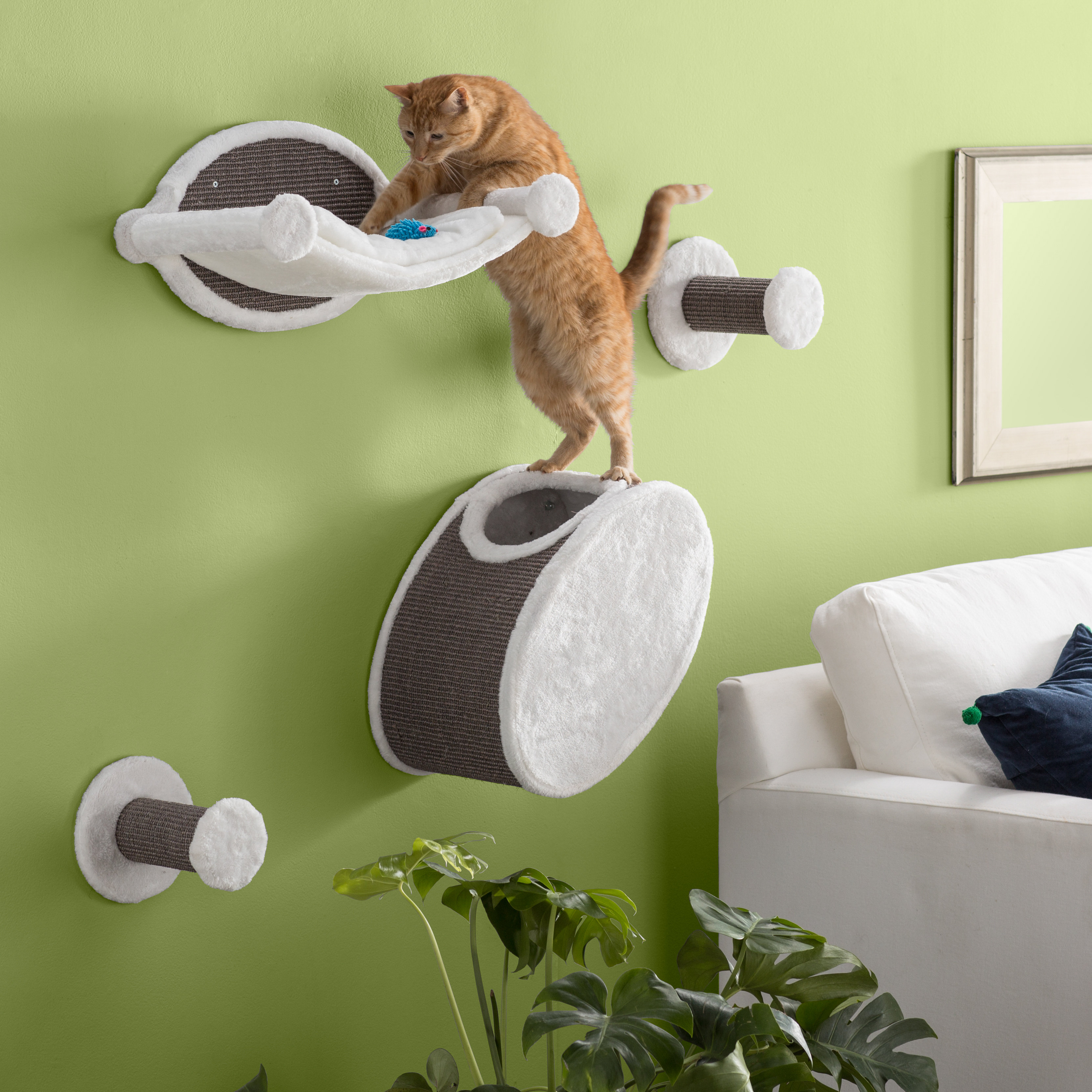 TRIXIE Wall Mounted Cat Lounge Set, Hammock and Condo with Two Steps ...