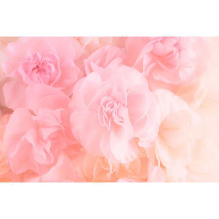 Winston Porter Carnation Flowers Bouquet On Canvas by Supitchamcsdam ...