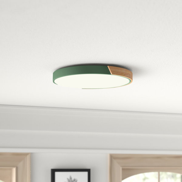 Wade Logan® Edington Flush Mount & Reviews - Wayfair Canada