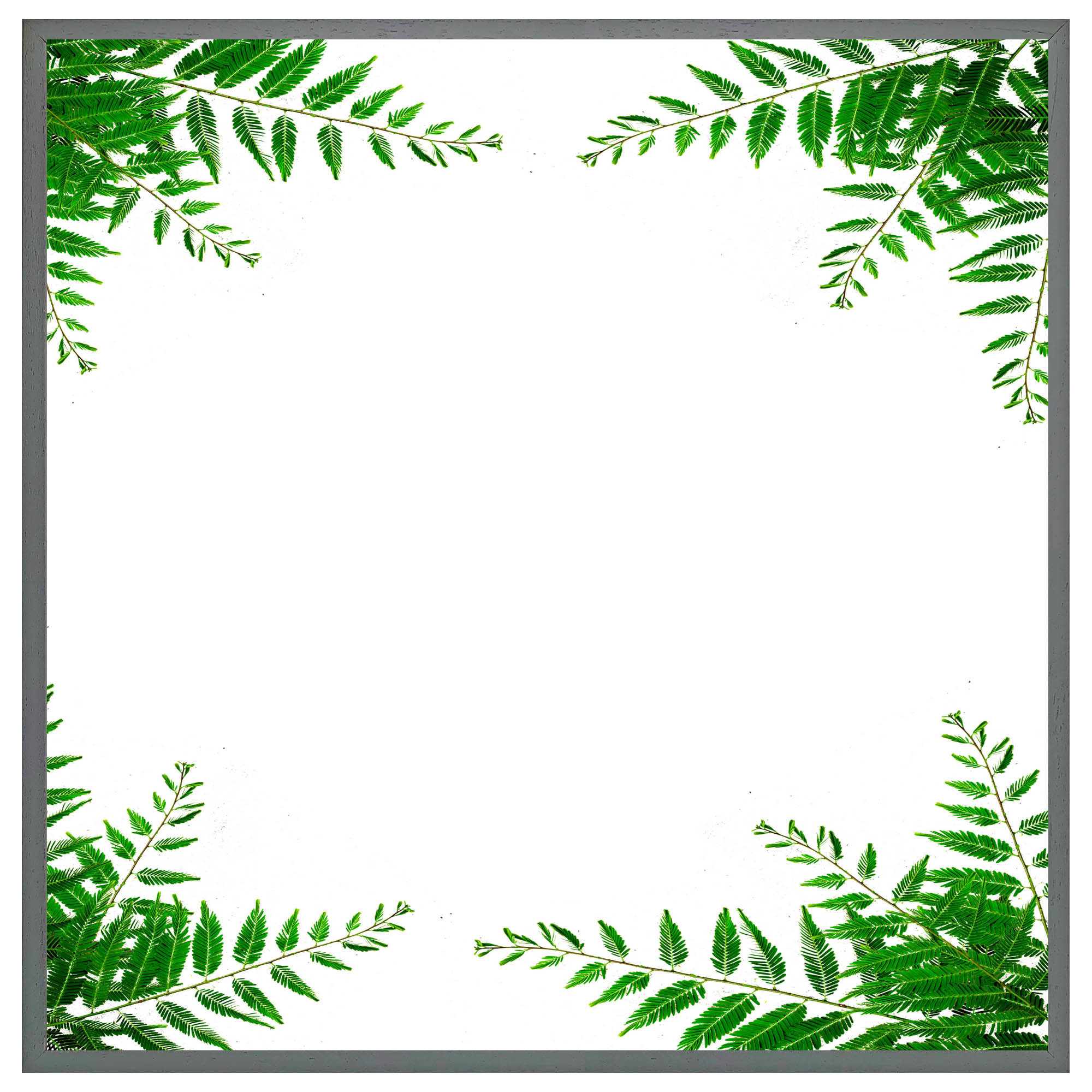 17 Stories Bulpitt Green Botanicals - Print | Wayfair.co.uk