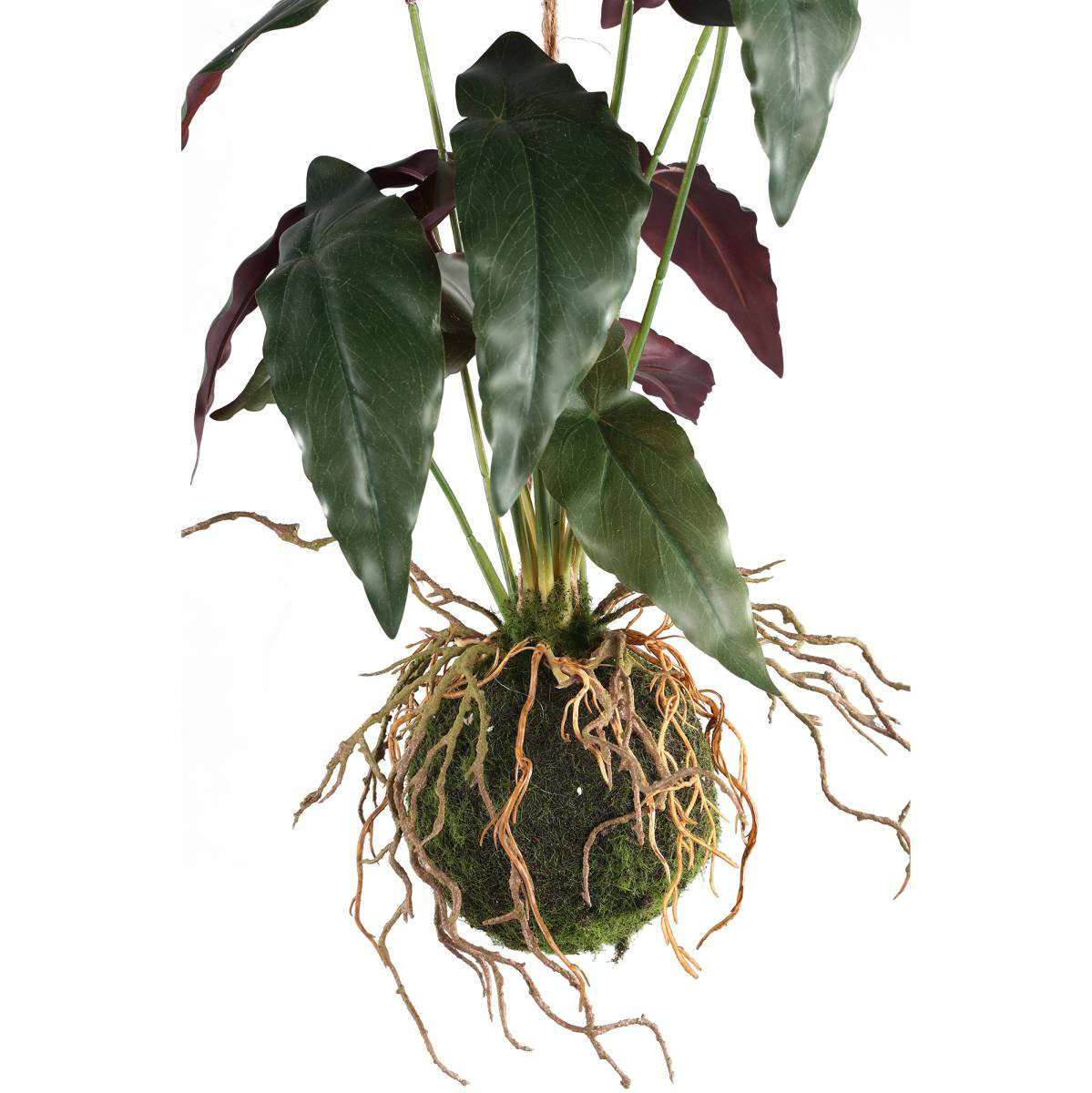 The Seasonal Aisle Trifolium 42 Plant | Wayfair.co.uk