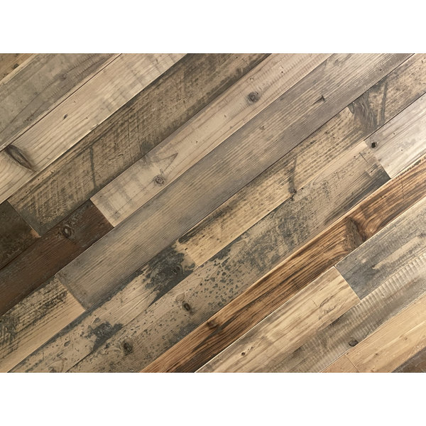 Heirloum Reclaimed Wood Wall Paneling in Tan & Reviews | Wayfair