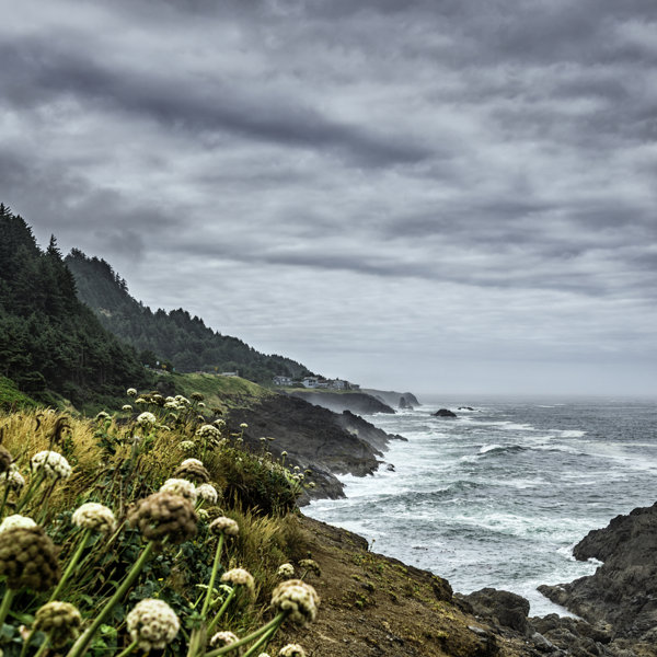 House of Hampton Oregon coast | Wayfair.co.uk
