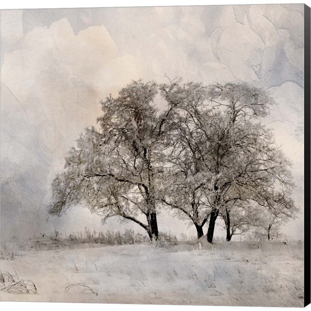 Winston Porter Winter Frost 2 by Kimberly Allen - Wrapped Canvas Print ...