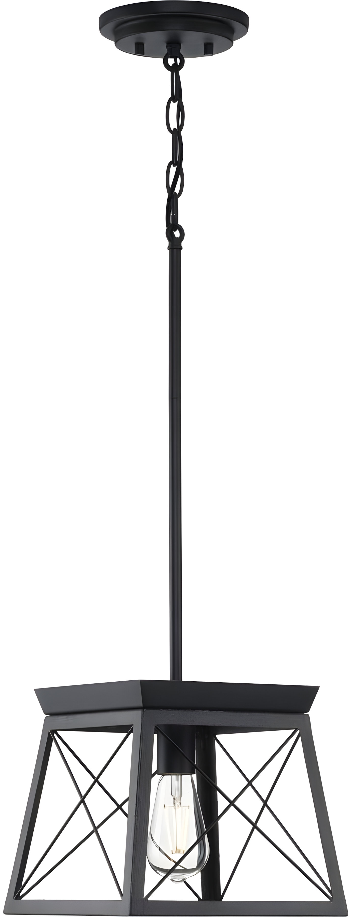 One Allium Way® Progress Lighting Briarwood Mini Pendant Light With X ...