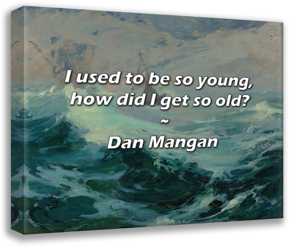 Ivy Bronx Dan Mangan Quote: I used to be so young, how did I get so old ...