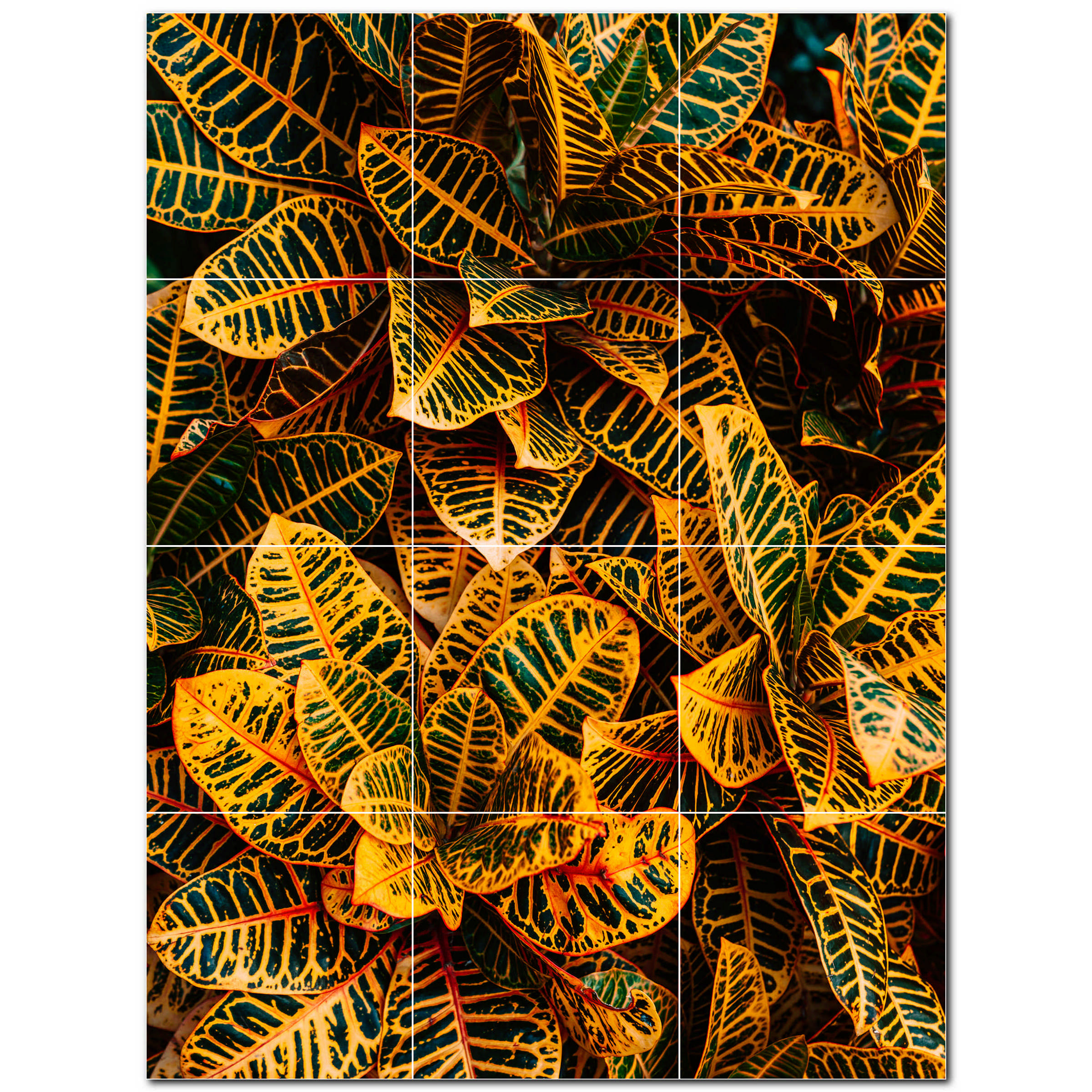 Picture-Tiles.com 24" x 32" Ceramic Trees Photo Decorative Mural Tile PT501021: 8" x 8" (Set of ...