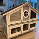 Tucker Murphy Pet™ Silverstri Rabbit Hutch with Ramp & Reviews | Wayfair