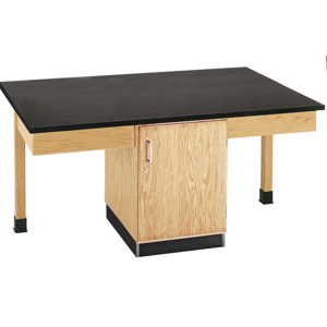 Shain Science Table | Wayfair