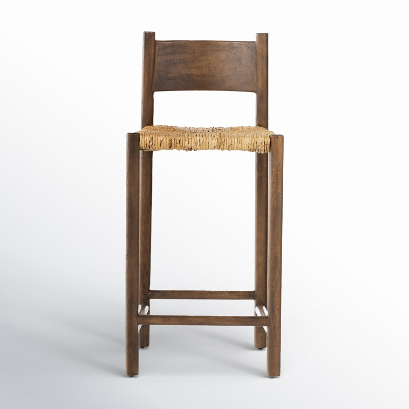 Birch Lane™ Loretta Counter & Bar Stool-Russet Mango & Reviews | Wayfair