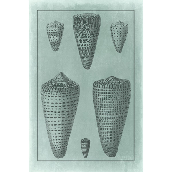 House of Hampton Spa Shell Collection I | Wayfair.co.uk