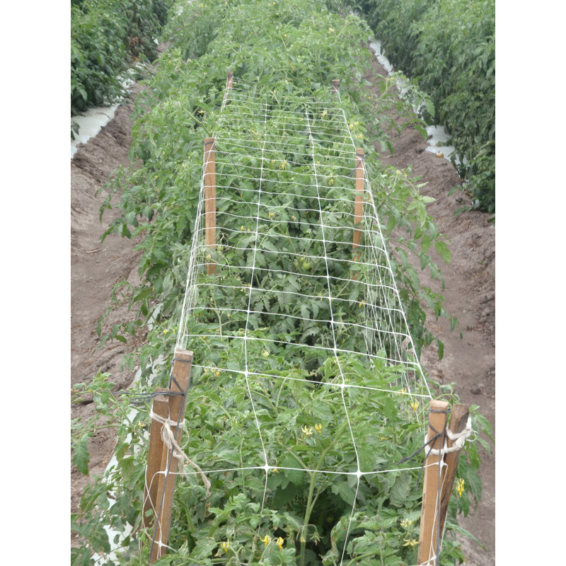 Arlmont & Co. Hortonova Plant Trellis Netting | Wayfair