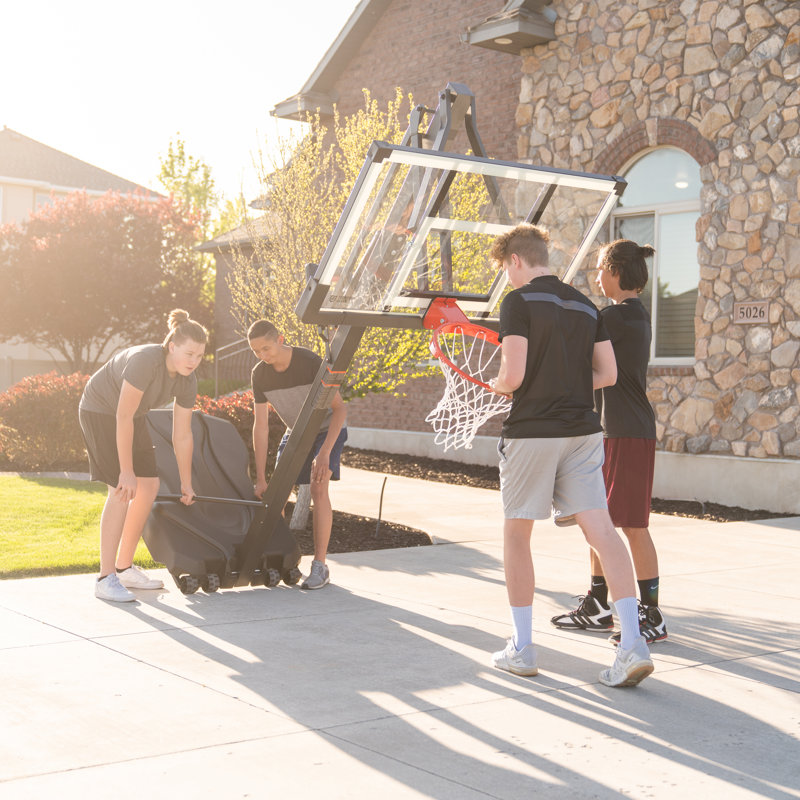 Lifetime Height Adjustable Portable Basketball Hoop (54" Tempered Glass ...