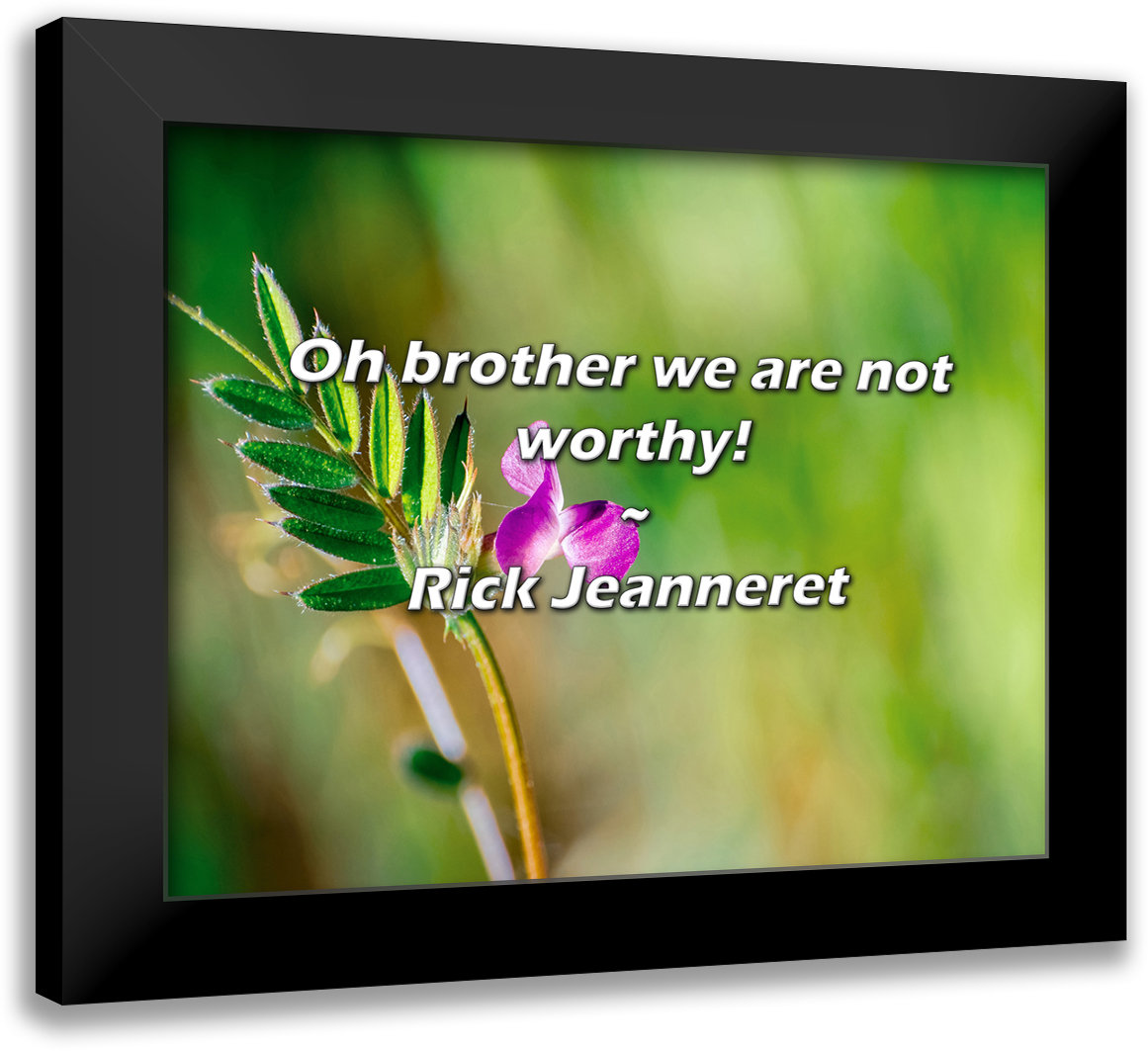 Latitude Run® Rick Jeanneret Quote: Oh brother we are not worthy! | Wayfair