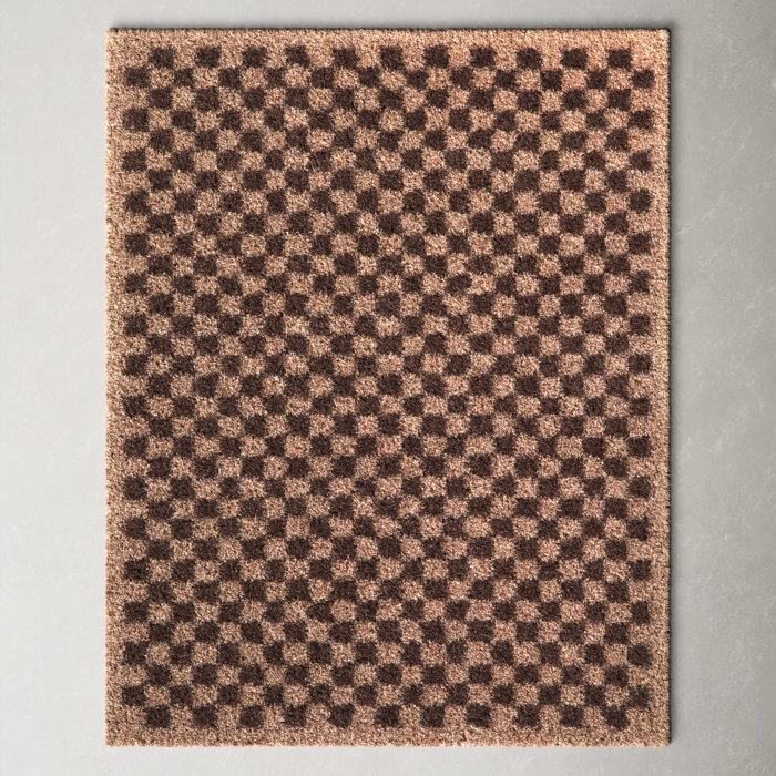 AllModern Walker Checkered Rug & Reviews | Wayfair