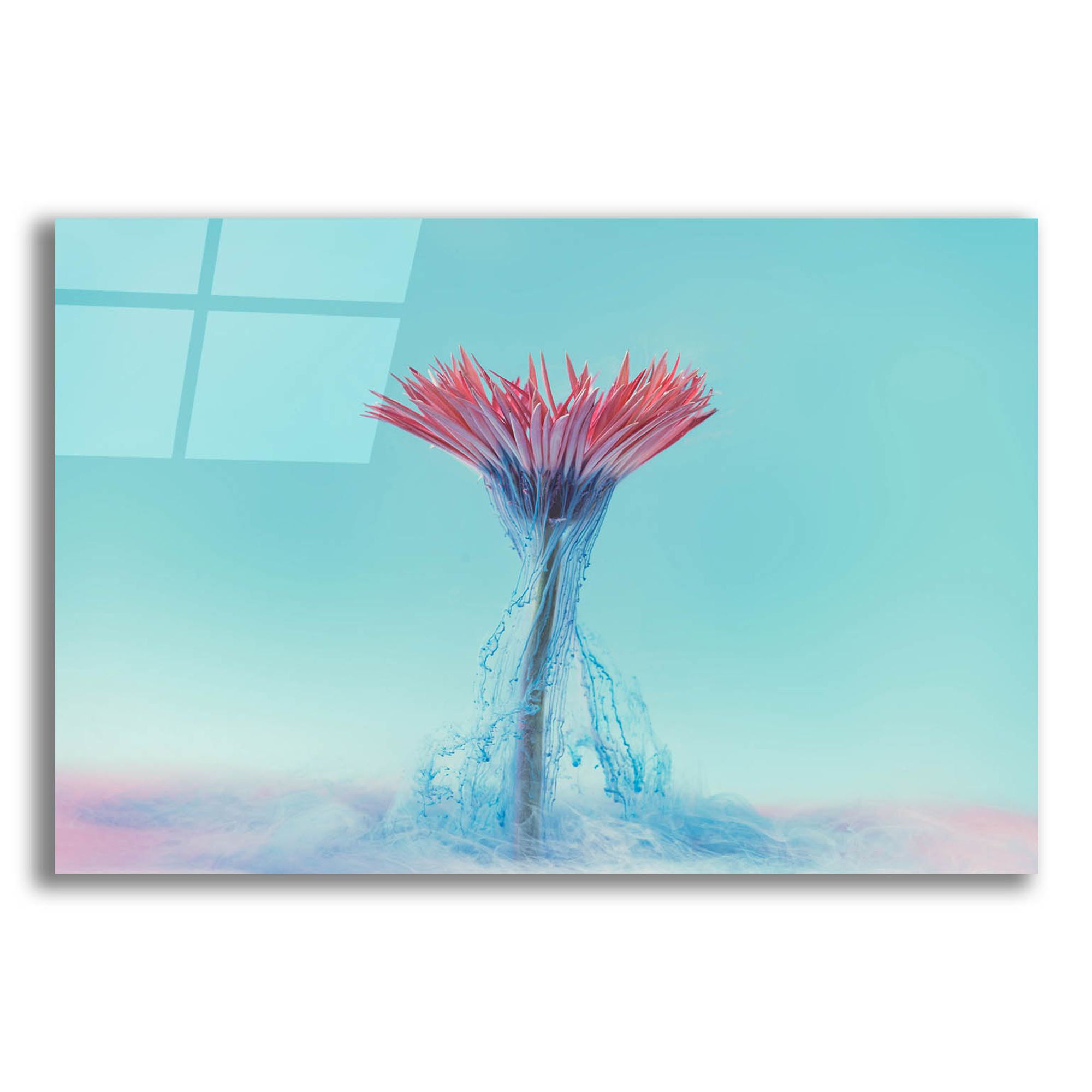 Ebern Designs Overcome by Epic Portfolio | Wayfair