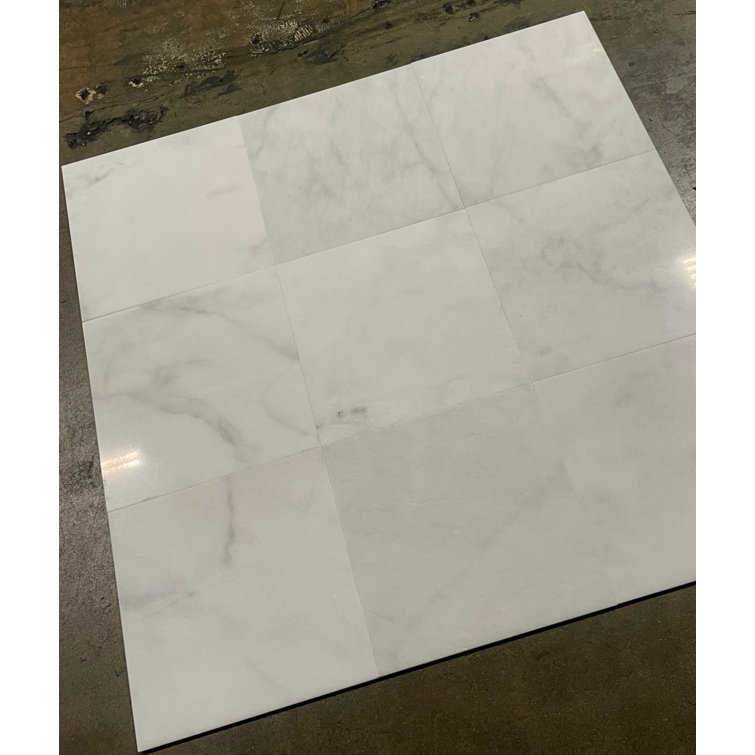 Stone & Tile Shoppe, Inc. 12" x 24" Marble Marble Look Wall & Floor ...