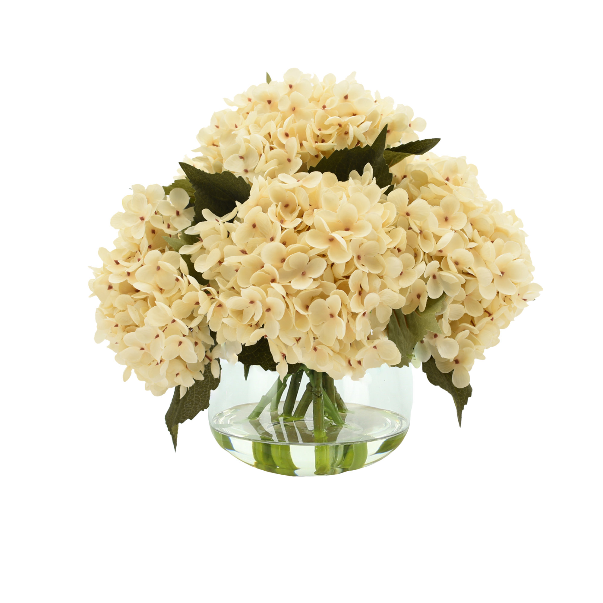 Willa Arlo™ Interiors Hydrangea in Vase "& Reviews" | Wayfair