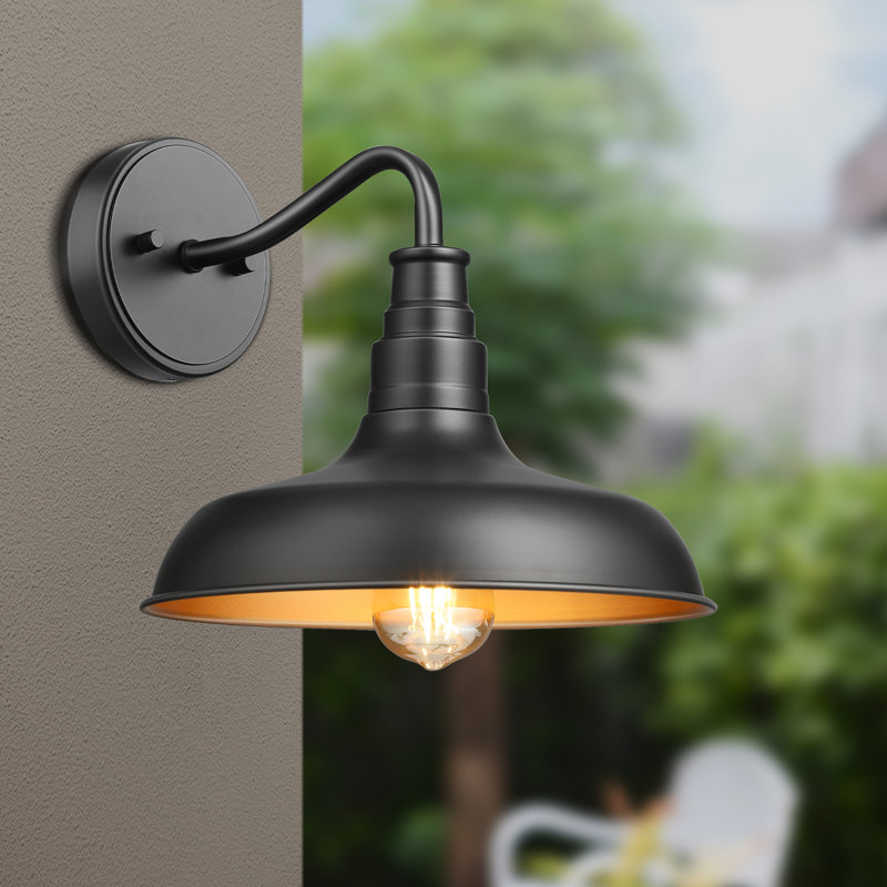 Trent Austin Design® Pinette Iron Wall Light & Reviews | Wayfair