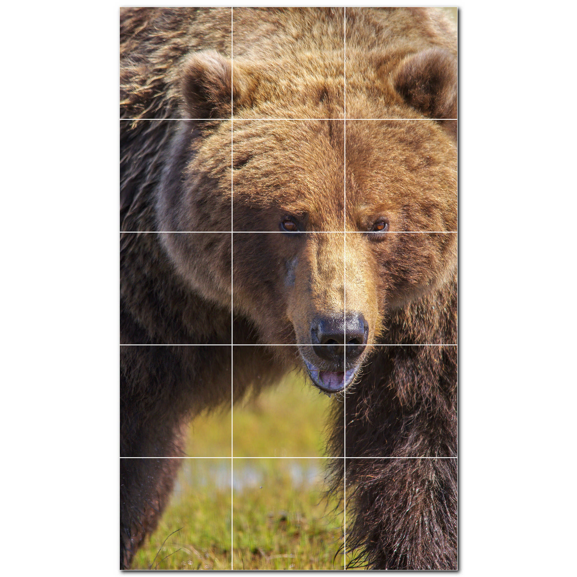 Picture-Tiles.com Murale en céramique 6 po x 6 po Bear - Wayfair Canada