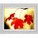 Bright Star Red Oak Leaves Close Up - Single Picture Frame Print ...