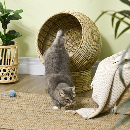 Wayfair | Elevated Cat Beds You'll Love in 2024