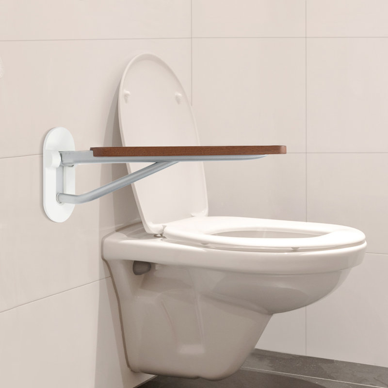 Lomana Wall Mounted Toilet Safety Frame | Wayfair