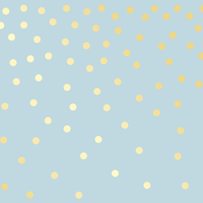 Isabelle & Max™ Falling Dots Border Peel and Stick Wallpaper | Wayfair