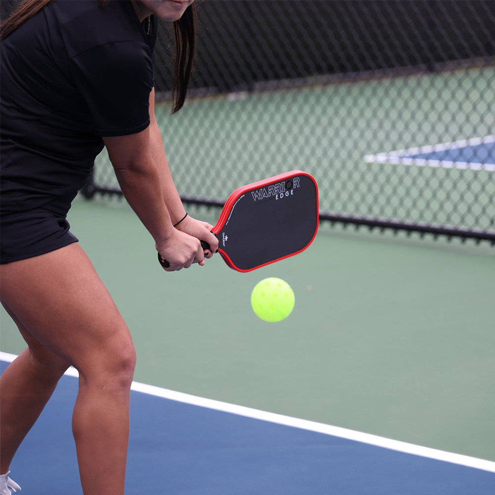 Diadem Warrior Edge Pickleball Paddle - 16mm Core, Midweight 8oz. | Wayfair