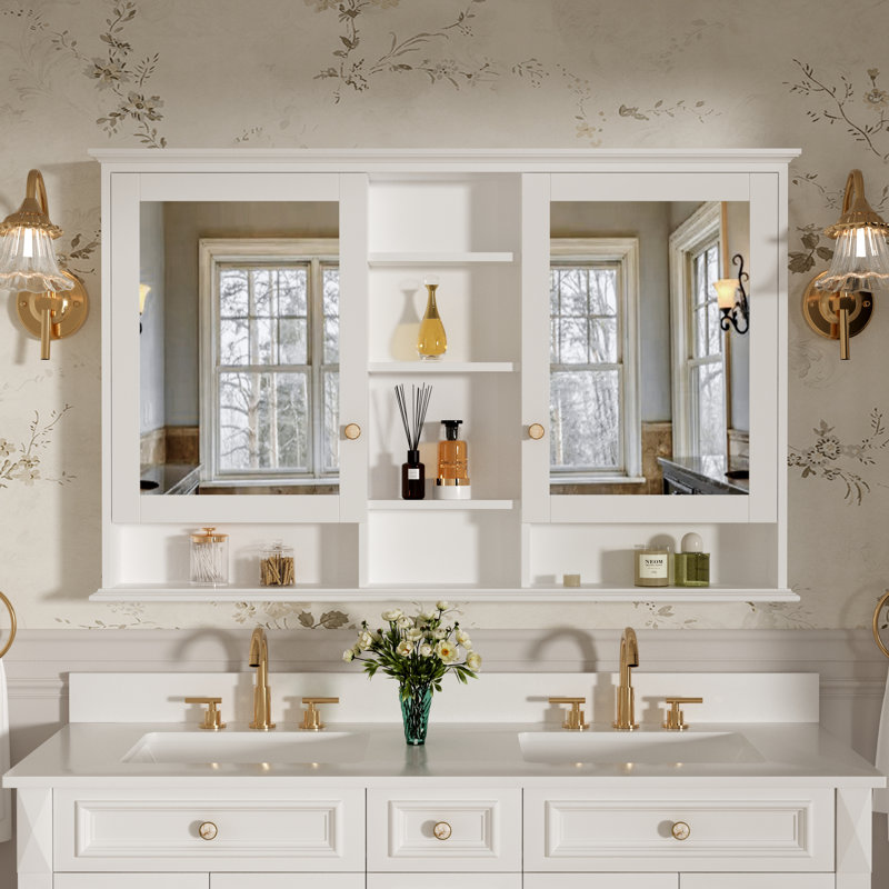 Red Barrel Studio® Surface Mount Framed 2 Door Medicine Cabinet with 9 ...