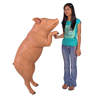 Design Toscano Hop Over Hog, Giant Pig Statue & Reviews | Wayfair
