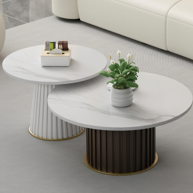 Danbenla design Light Luxury Curved Sofa Coffee Table Combination 5 ...