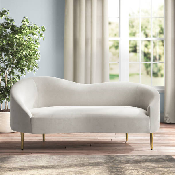 Willa Arlo Interiors Tiberius 65'' Velvet Loveseat & Reviews | Wayfair