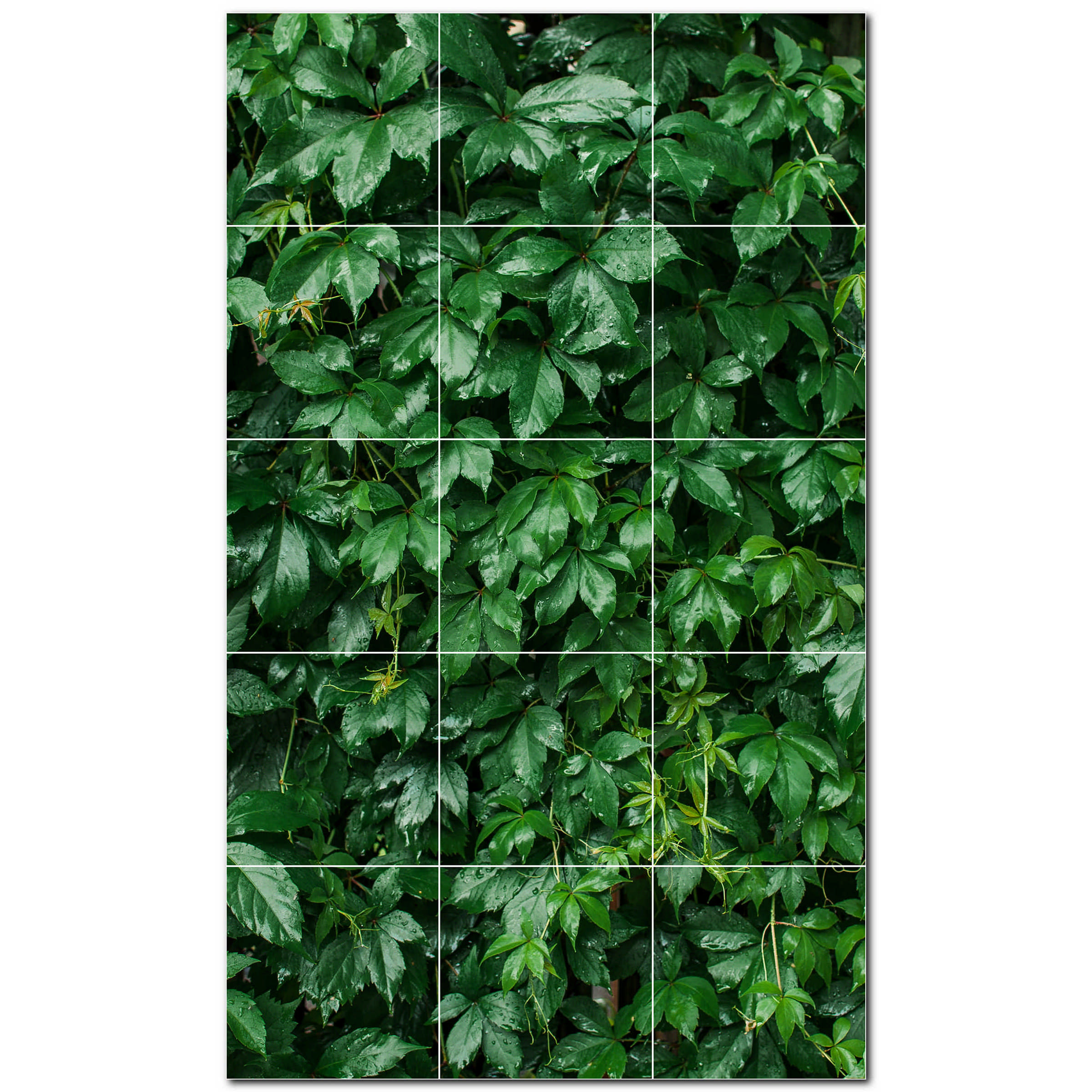 Picture-Tiles.com 12'' x 12'' Satin Ceramic Decorative Mural | Wayfair