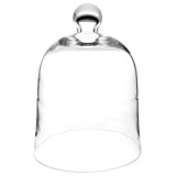 Cloche | Wayfair