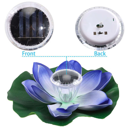 Deago Solar Powered Outdoor Floating Pool Lights & Reviews | Wayfair