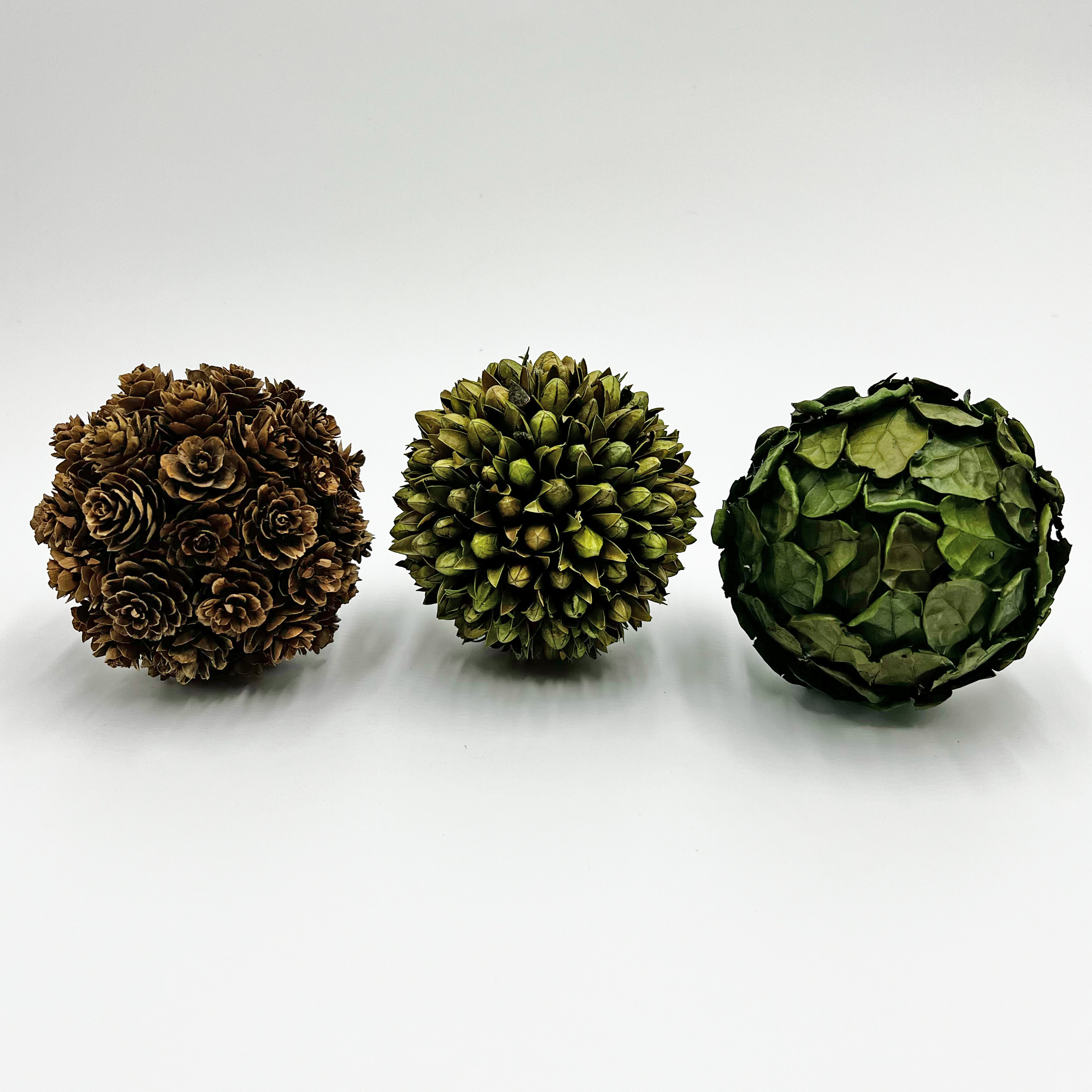 Primrue 3" Real Preserved Decorative Pinecone and Magnolia Leaf ...