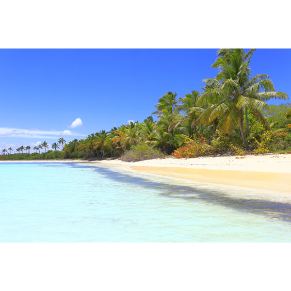 House of Hampton Tropical paradise | Wayfair.co.uk